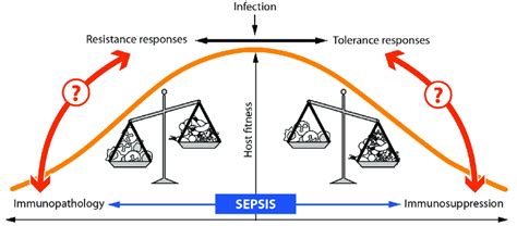 Failing Immune Responses In Sepsis Affect Host Fitness Download