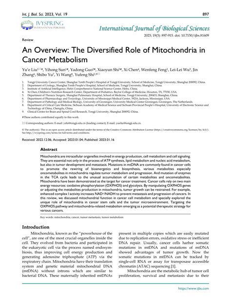 (PDF) An Overview: The Diversified Role of Mitochondria in Cancer ...