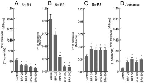 Mrna Levels Of 5a Reductase Type 1 5a R1 Panel A 5a Reductase Type