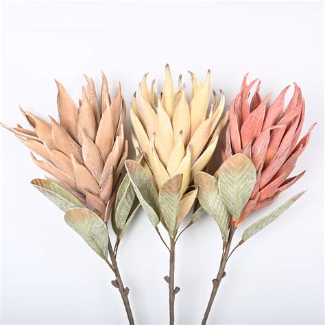 Primrue Protea Cynaroides Floral Arrangement Long Stem Wayfair