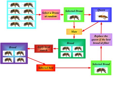 Honey Bee Mating Optimization Hbmo Algorithm Propelled Behavior Of Bees Mating For Solving