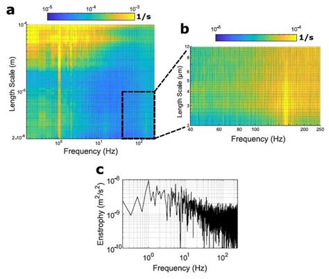Enstrophy Cascade And Vorticity Correlation With Length Scale And