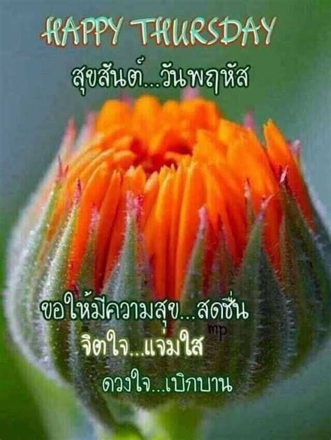 ♥ ♥ วันพฤหัสบดี อรุณสวัสดิ์ วันอาทิตย์