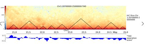 What Confused Me About HicFindTADs Issue Deeptools HiCExplorer GitHub