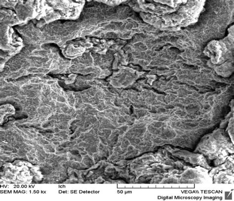 Fracture Morphology Of Samples After Hydrogen Sulfide Stress Corrosion Download Scientific