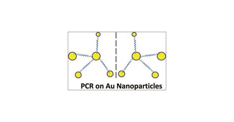 Nanoparticle Superstructures Made By Polymerase Chain Reaction