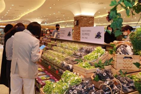 영동포도 이름값 톡톡히…축제기간 22억여원 판매고 파이낸셜뉴스