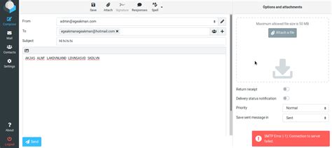Can T Send And Recieve Email AaPanel Free And Open Source Hosting Control Panel One Click