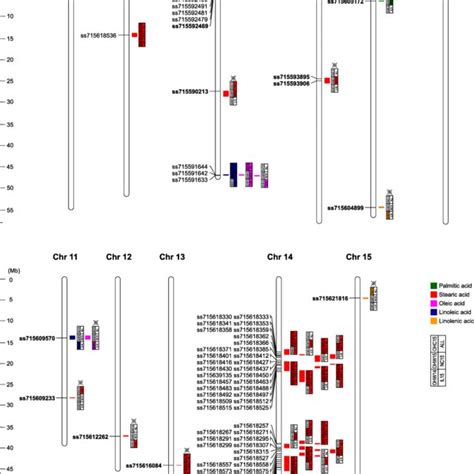 Mapping Of The Significant Snp Markers And Qtl Identified By Compressed Download Scientific