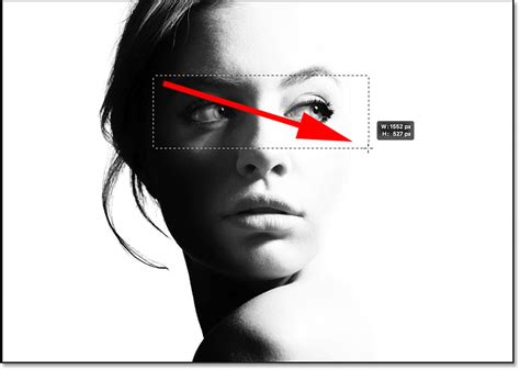 Open Multiple Images As Layers In Photoshop