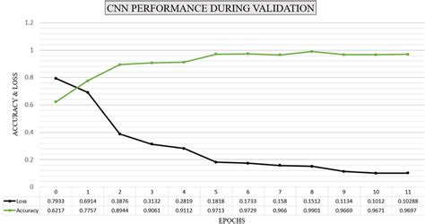 Performance Of Cnn During Validation Download Scientific Diagram