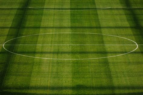 Sofi Stadium Building More Than Grass In Leadup To World Cup
