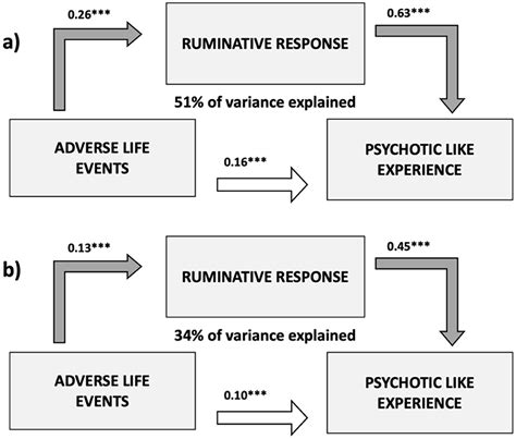 Frontiers Ruminative Thinking Mediates The Effects Of Exposure To Adverse Life Events On