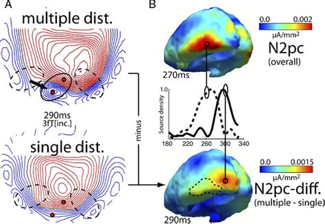 Ermf Distribution Underlying The N2pc At 290 Ms Experiment 1 A Ermf