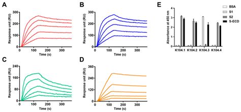 Development And Characterization Of Sars Cov 2 Spike Protein Specific