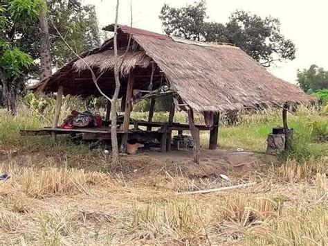 កូនអ្នកស្រែ ឃើញរូបភាពនេះដូចហាកបីដូចនៅថ្មី ៗ អតីតកាល