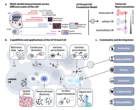 The Future Of Cell Modeling Building Virtual Cells With Artificial