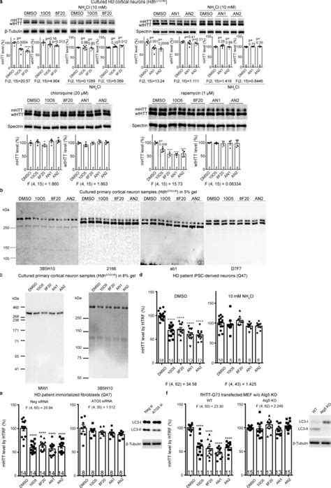 Mhtt Lowering Effects By Mhtt Linker Compounds Could Be Detected By