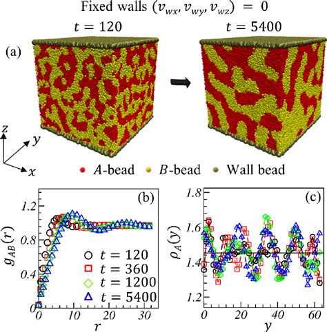 Figure 1 From Phase Separation Kinetics Of Block Copolymer Melts