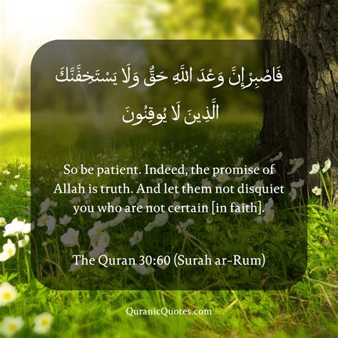 Quran Faith Quotes