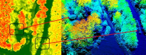 lidar derived canopy height model practical tips in implementing use
