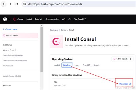 Spring Cloud 一consul服务注册与发现2 Csdn博客