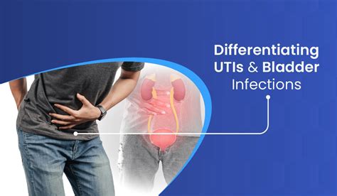 A Guide To Differentiating Utis And Bladder Infections By