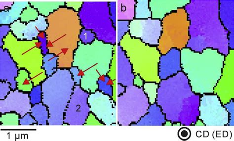 Quasi In Situ Ebsd Showing Grain Boundary Migration And Grain Rotation Download Scientific