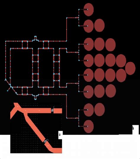 Layout Of The Scanning Subnet Download Scientific Diagram