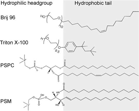 Figure S1 The Structure Of Brij 96 And Triton X 100 And For Download Scientific Diagram