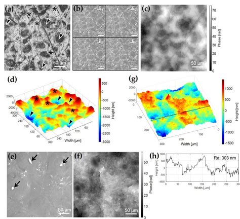 Surface Mapping Of A Pad Like Sample And A Used Cmp Pad A A Download Scientific Diagram