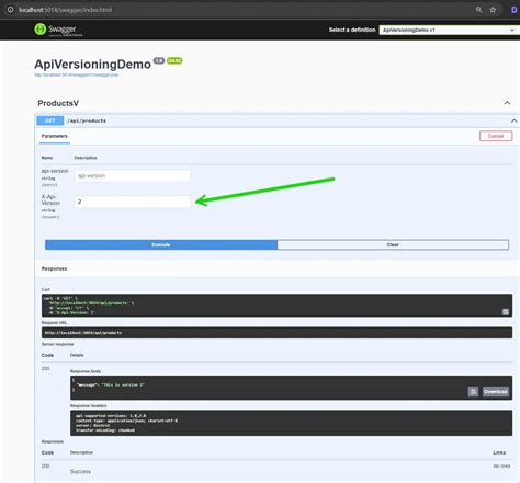 Best Aspnet Core Api Versioning Strategies Complete Guide