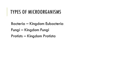 Microorganisms Ppt Download