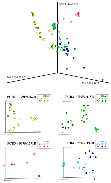 Taxonomic Bubble Plot Of Bacterial Relative Abundance At Genus Level