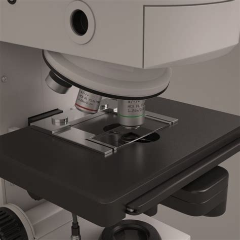 Leica Dm Microscope D Model In Medical Equipment DExport