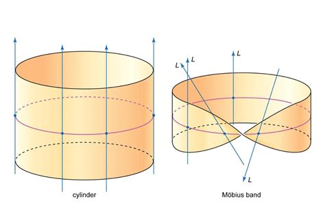 40 Facts About Vector Bundles