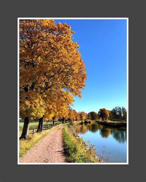 Eileen Grace Posted On Linkedin