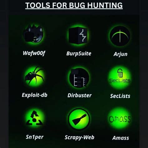 Bughunting Cyberdefense Threatanalysis Infosectools Mirsub Chaudary