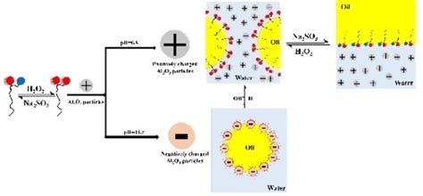 Charge Density Overcomes Steric Hindrance Of Ferrocene Surfactant In Switchable Oil‐in