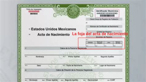 Identificando La Foja En El Acta De Nacimiento Mexicana