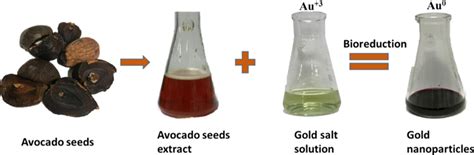Anticancer Antioxidant And Catalytic Activities Of Green Synthesized Gold Nanoparticles Using