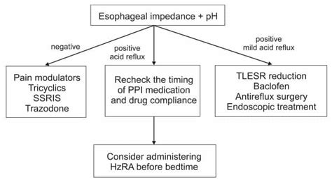 Diagnosis Dan Tatalaksana Gastroesophageal Reflux Disease Gerd Kedokteran Caiherang