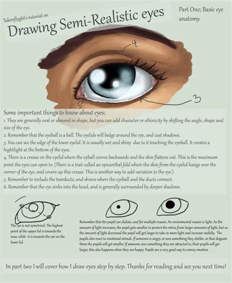 Eyes Part 1 Basic Anatomy By TakenFlyght On DeviantArt Lips Drawing Eye Drawing Lip