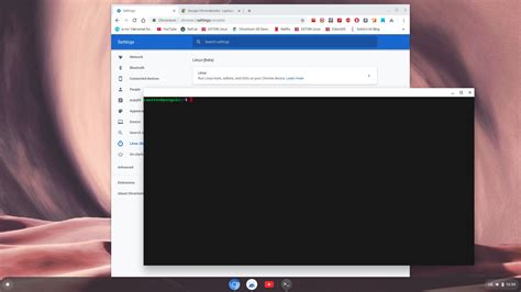 Chromium OS Exton Linux Live Systems