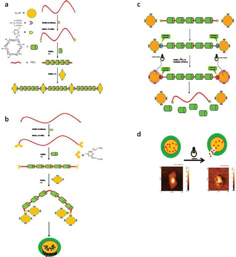 Noncovalent Interactions Between Ps Pr1 And The Au Nps Resulted In