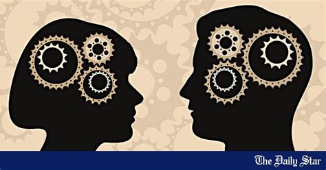 Sex Differences In The Brain The Daily Star