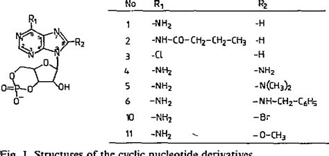 Figure 1 From High Performance Liquid Chromatography Of Nucleobases Nucleosides And Nucleotides