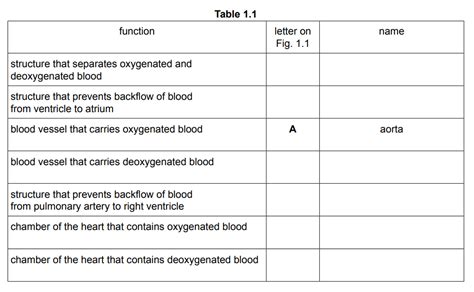 Igcse Biology 0610 9 2 Heart Igcse Style Questions Paper 4