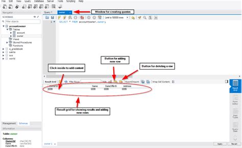 ASP NET Core Web API Creating MySQL Database Code Maze