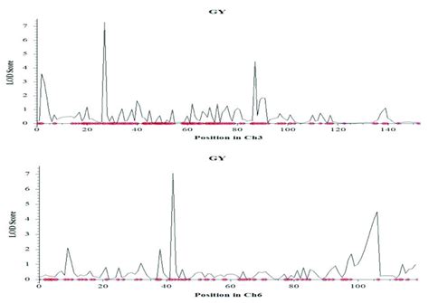 Chromosome Locations Of Qtls For Grain Yield Per Plant Under Salinity